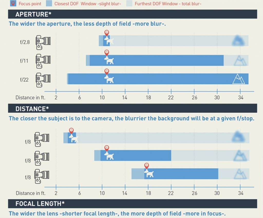 The Ultimate Portrait Photography Cheat Sheet: Essential Tips and ...