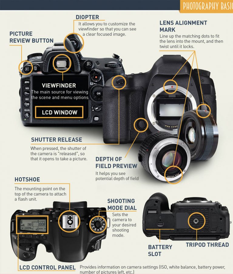 The Ultimate Portrait Photography Cheat Sheet: Essential Tips and ...
