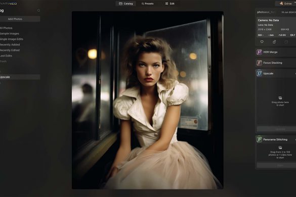 Nik Silver Efex - Black and White Photographers Editing Software